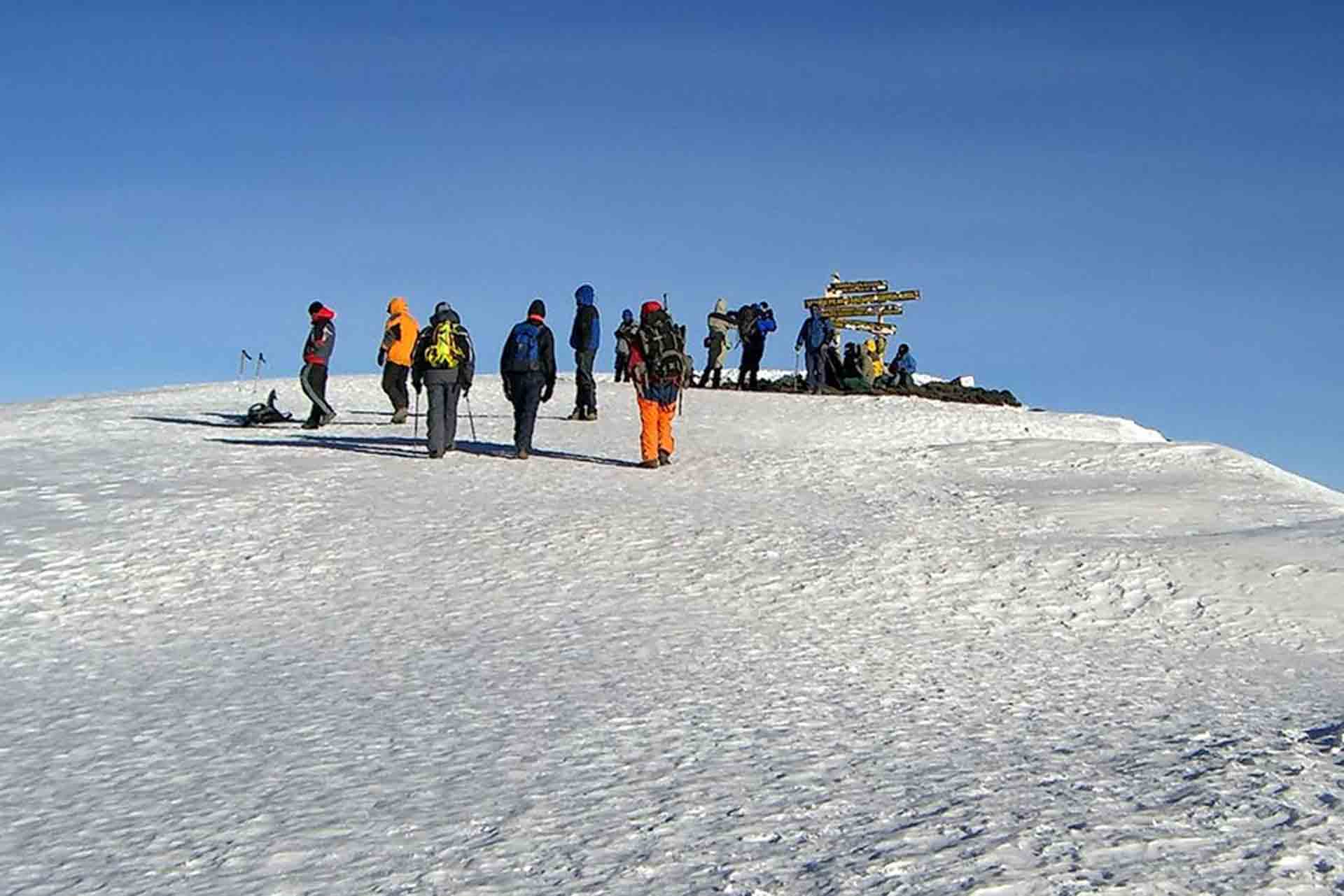 7 Days - Lemosho Route | Famous Tours and Safaris