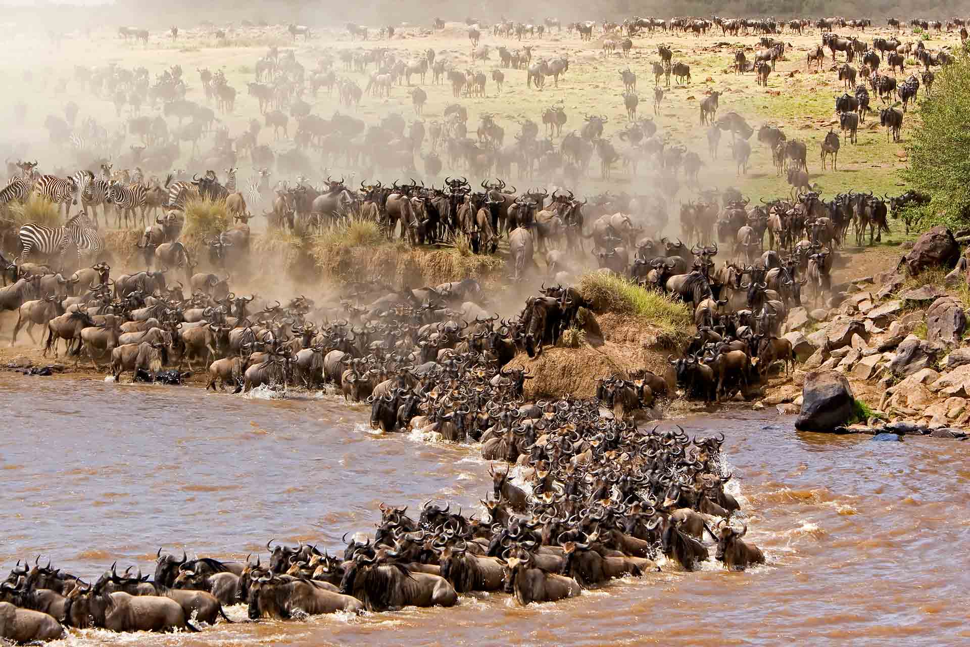 THE GREAT MIGRATION | Famous Tours and Safaris